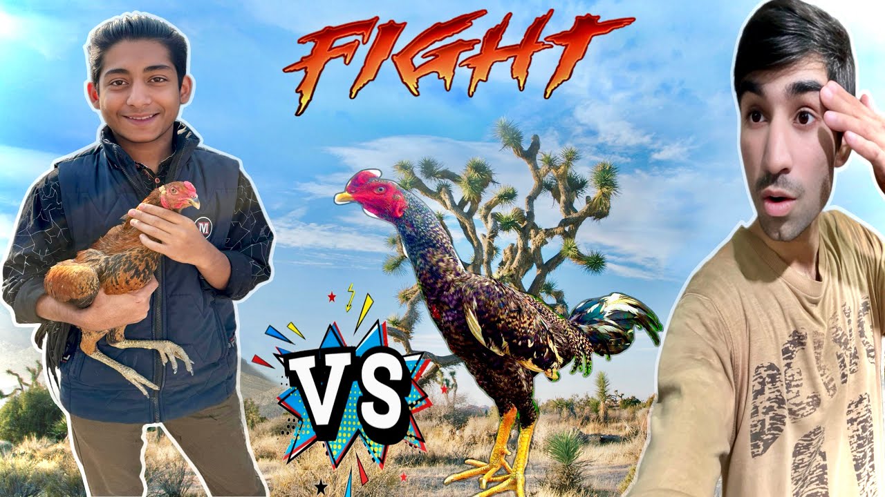 Chicken🐓Smarts vs Human😎Skills | Who Will Win ? - YouTube