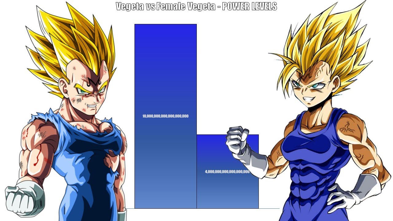 Vegeta VS Female Vegeta All Forms Power Levels - Dragon Ball/ DBZ/DBS ...