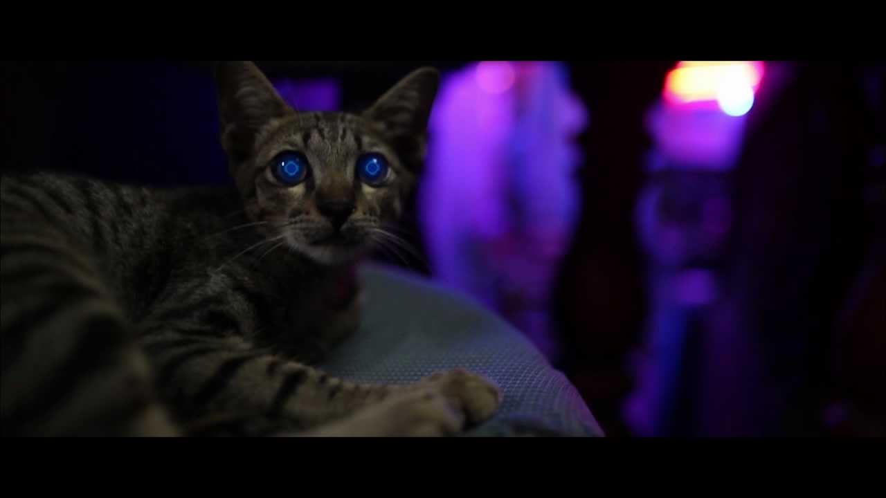 TRUE SKIN TEASER - YouTube