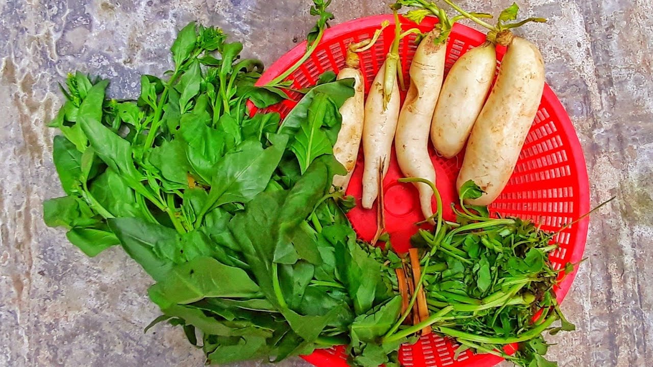 vegetable recipe| bangali recipes|cooking hi - YouTube