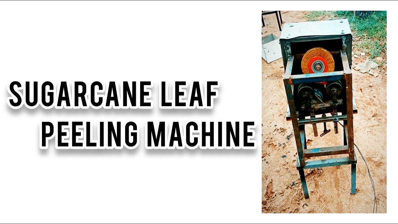 SUGARCANE LEAF PEELING MACHINE - YouTube