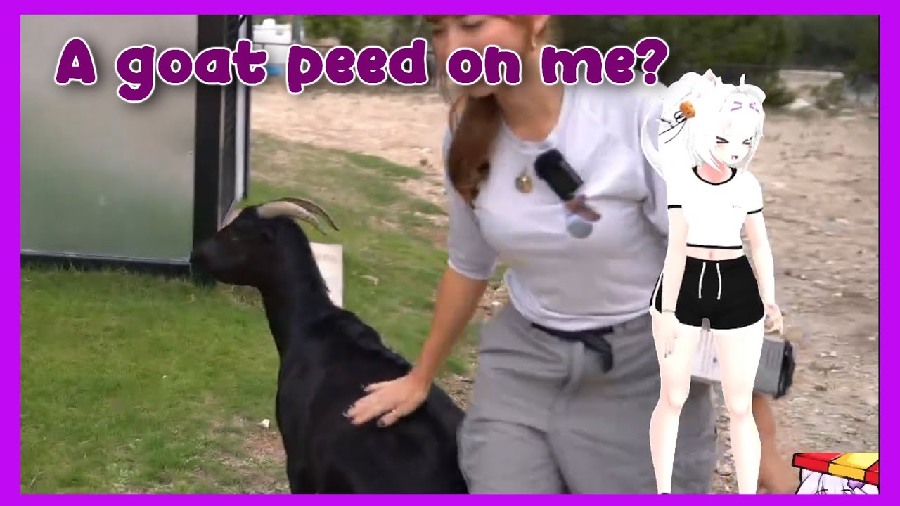 Filian goes to the zoo IRL - YouTube