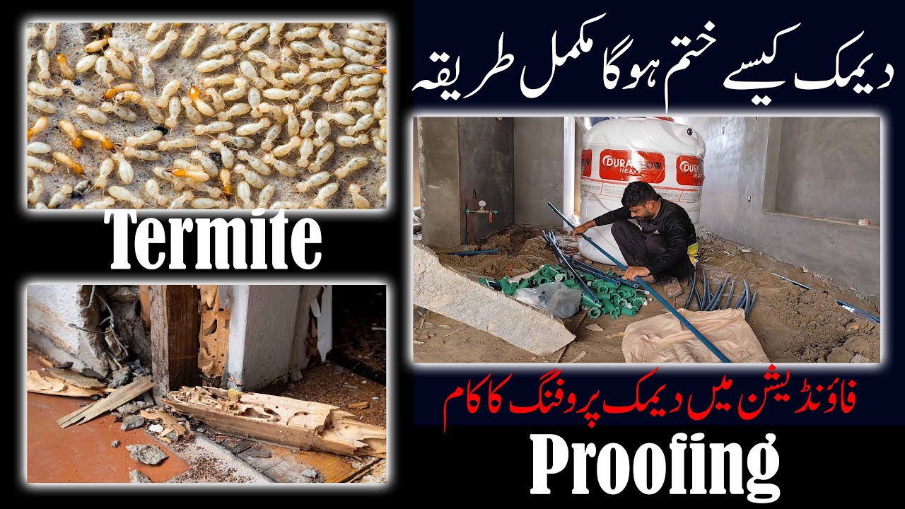 Termite treatment, Best chemical for termite,Termite Killer spray in ...