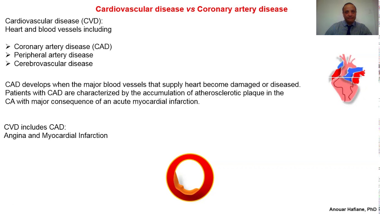 Coronary artery disease (CAD) vs Coronary vascular disease (CVD) - YouTube