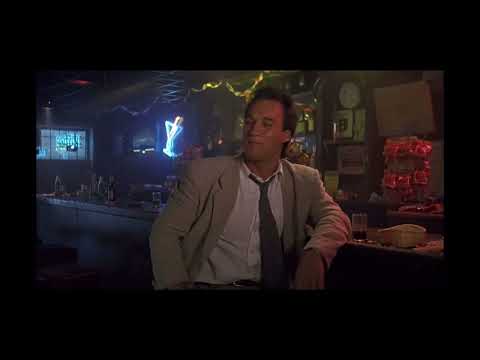 k9 Jerry Lee attacks