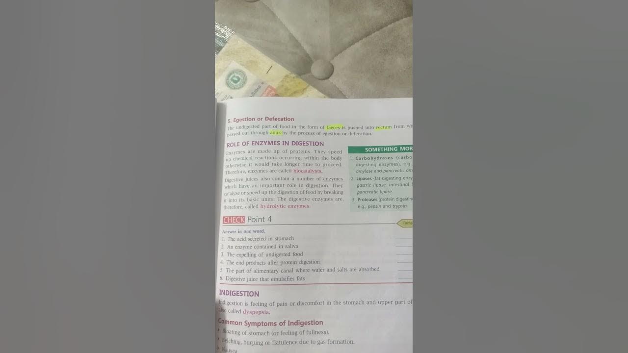 bio chapter 4, point-4, pg 58 - YouTube