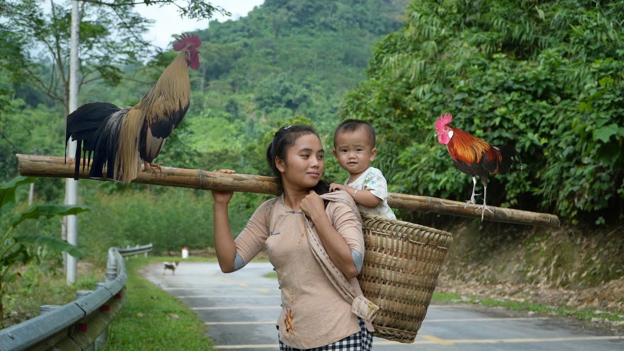 Ly Thi Di's tireless efforts: Buying more livestock to build a career ...
