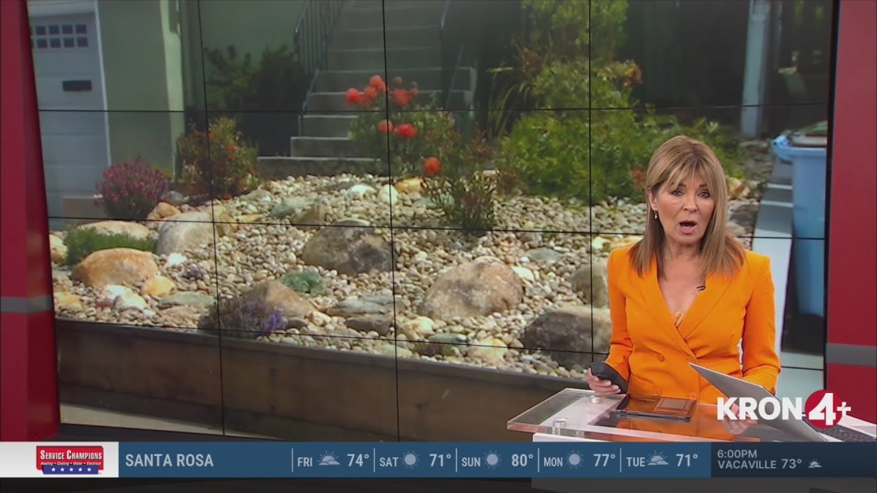 Proposal in Berkeley to ban plants within 5 feet of homes - YouTube