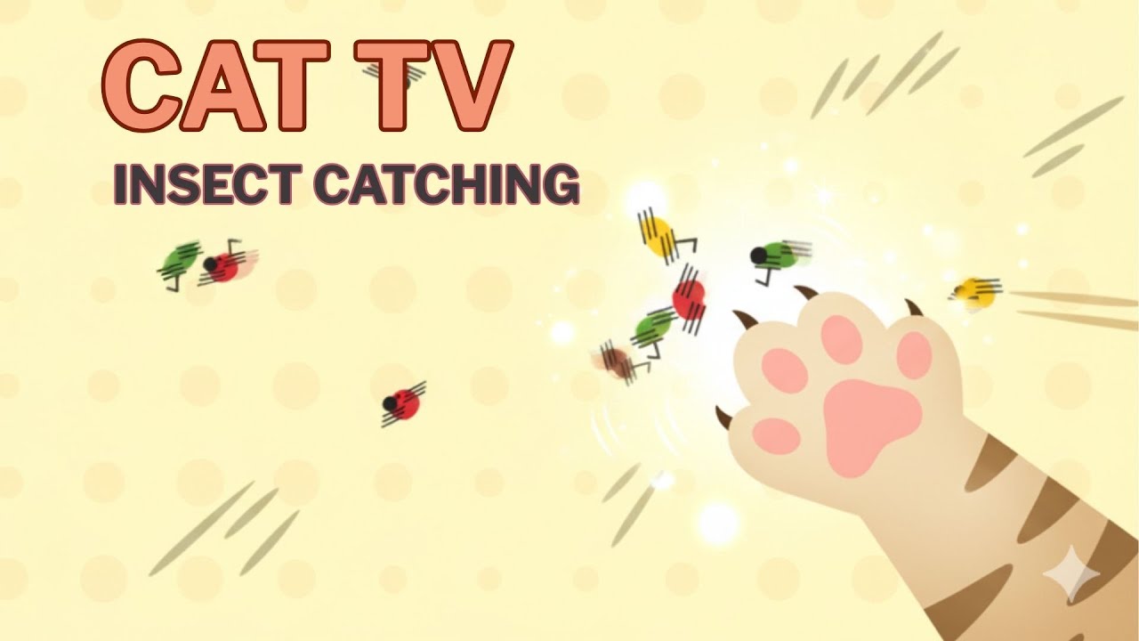 Cat Bug Hunt – Insect Catching Game for Cats - YouTube