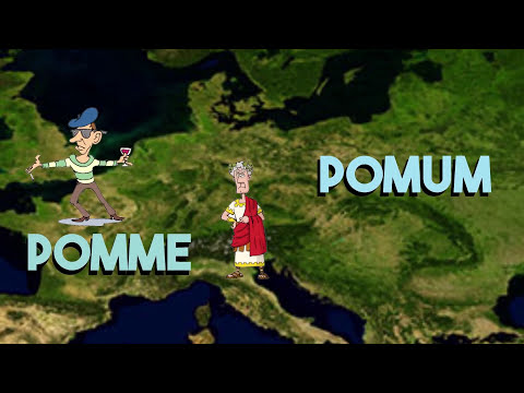 Görsel Etimoloji - Elma