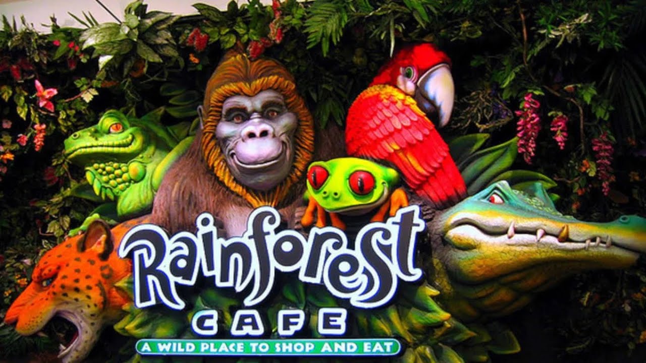 Rainforest Cafe at Sawgrass Mills mall in Sunrise Florida - YouTube