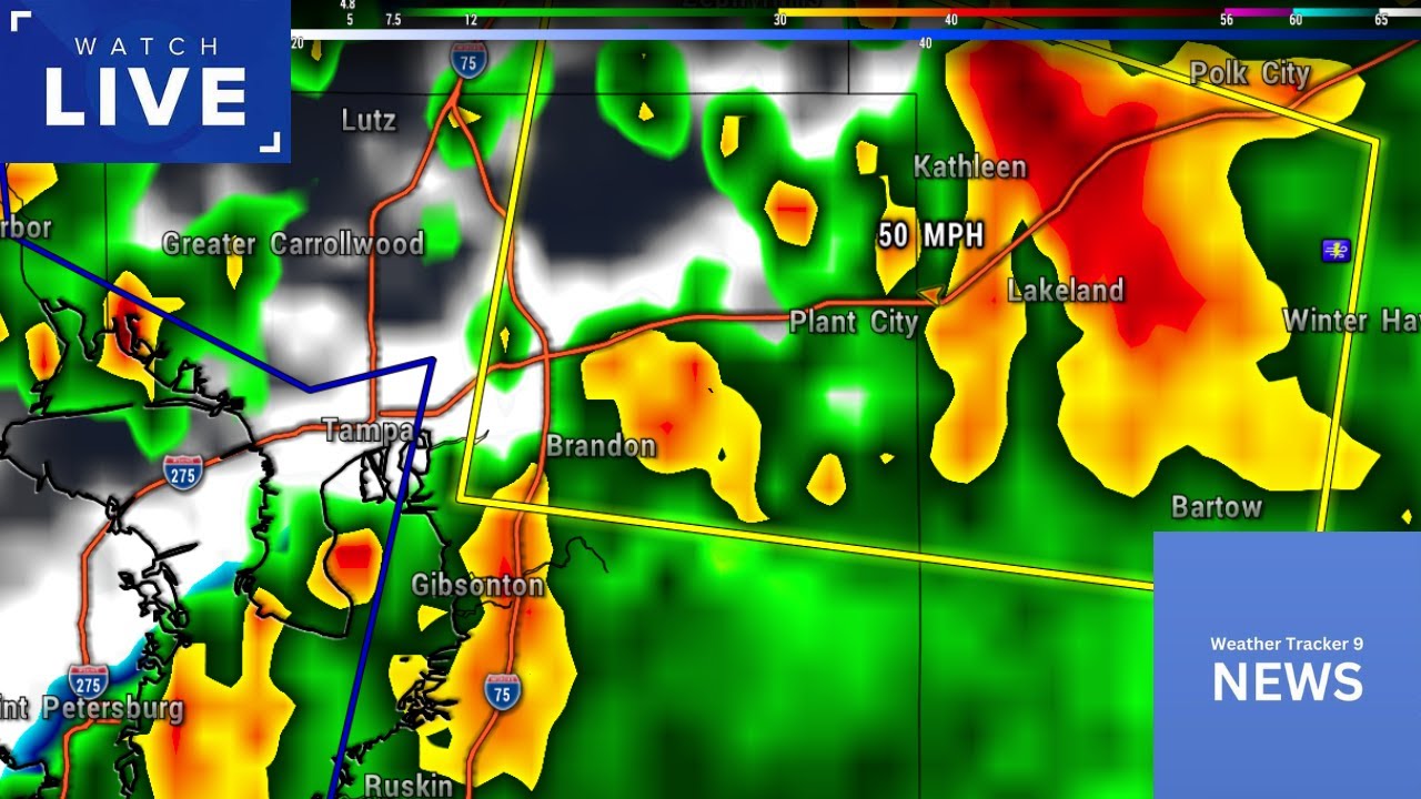 Live Tracking Strom State of Florida in The United States - YouTube