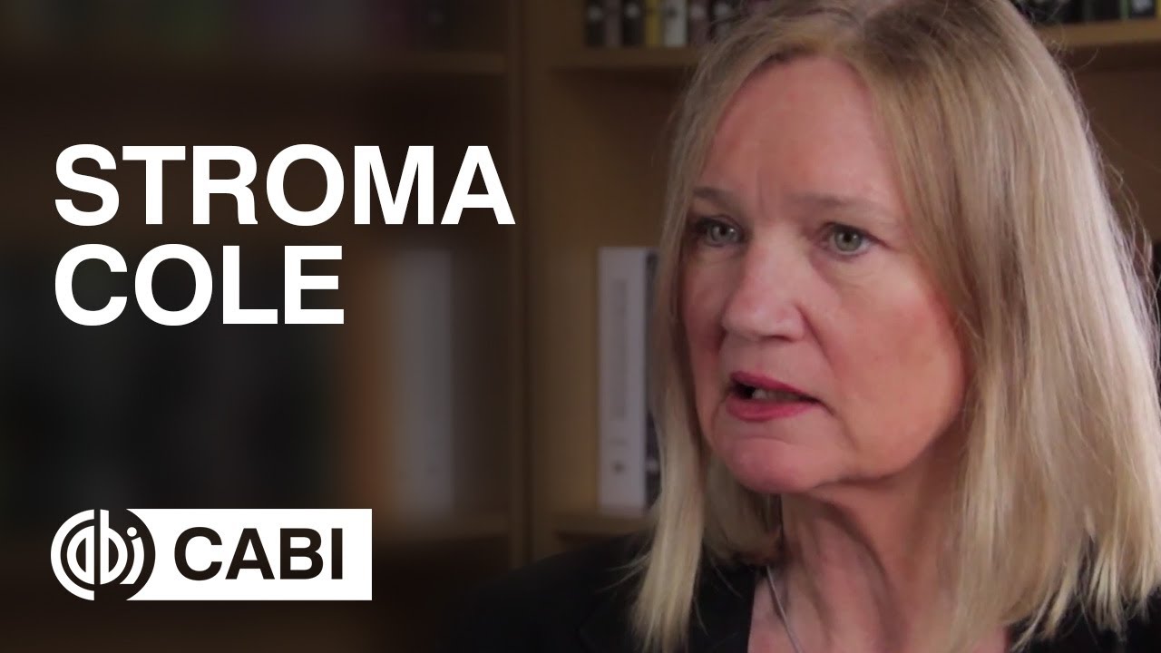 What led you to write this book? Stroma Cole - YouTube