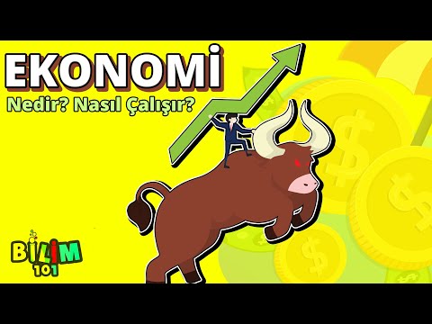 EKONOMİ NEDİR? NASIL İŞLER? | Kısa Belgesel