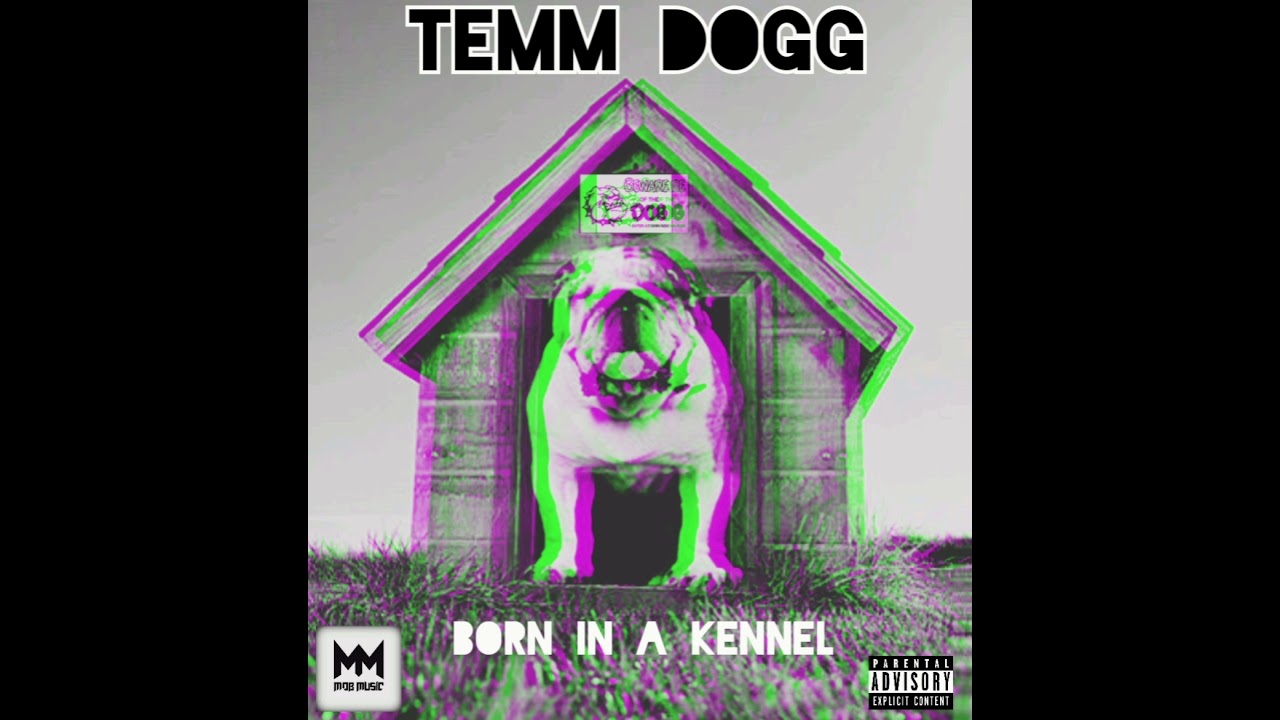 TEMM DOGG BORN IN A KENNEL - YouTube