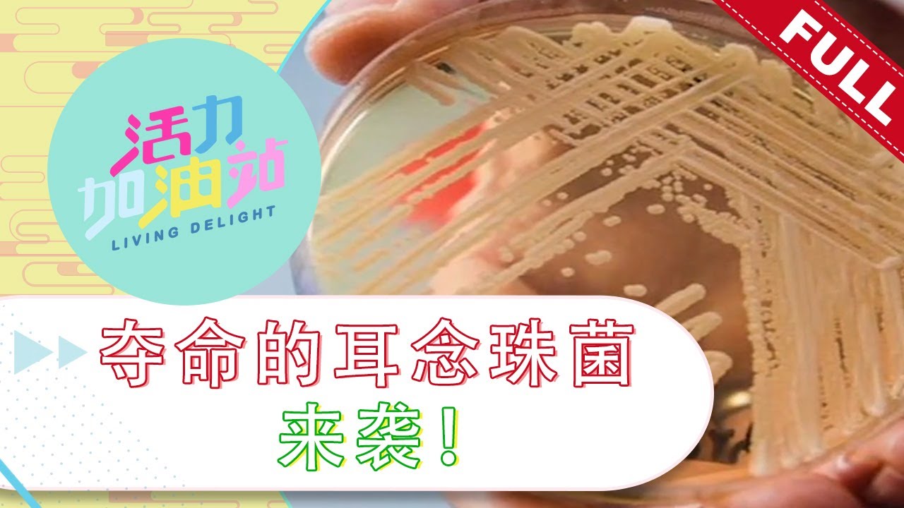 活力加油站 Living Delight (2023) | 2023年4月3日: 夺命的耳念珠菌来袭！ - YouTube