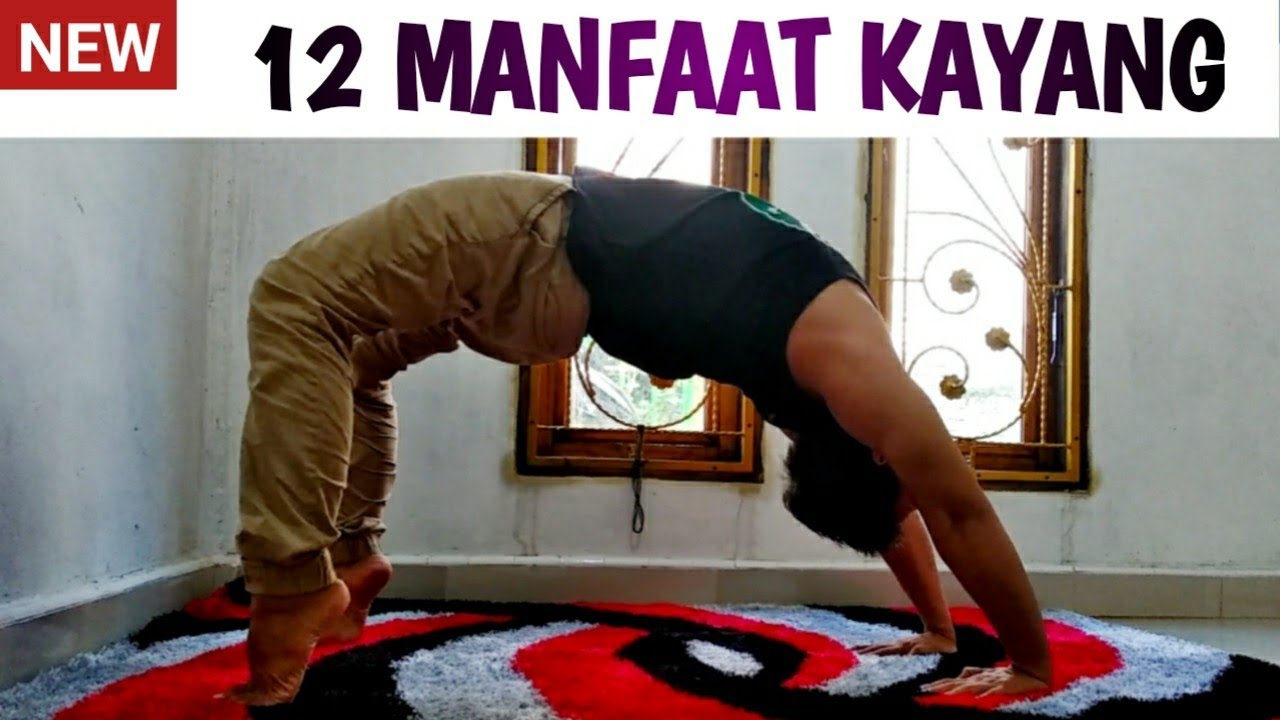 Manfaat Kayang || Manfaat Kayang bagi Tubuh || Kayang bagi kesehatan ...