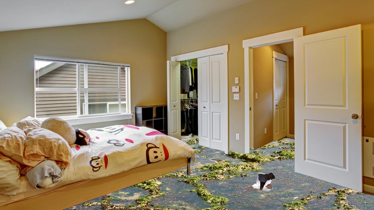 How about a tour into the swamp bedroom? - SCP 2147 - YouTube