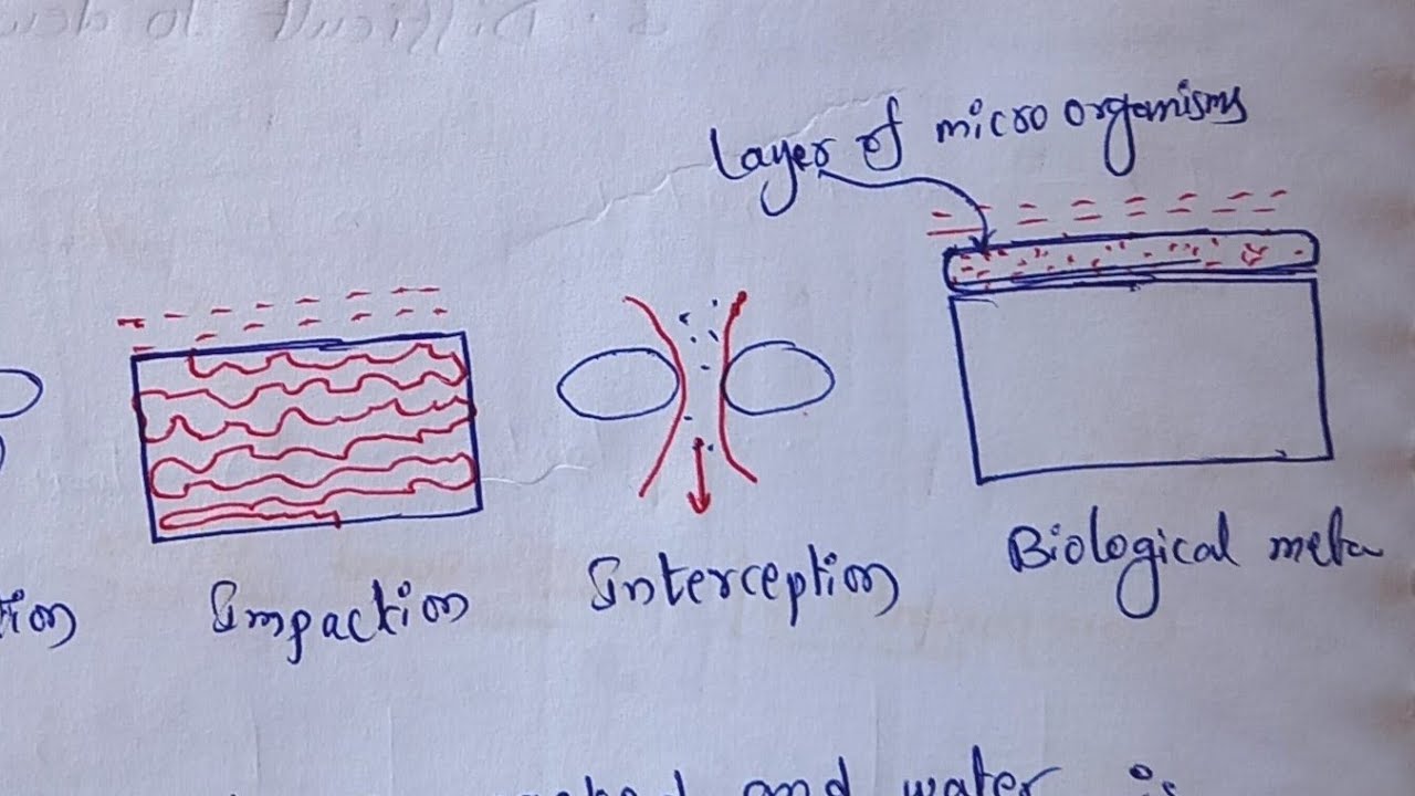 Filtration | Filtration process | Filtration of water | Filtration ...