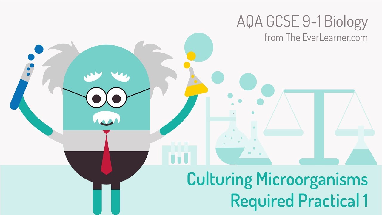AQA GCSE 9-1 Biology: Culturing Microorganisms Required Practical - YouTube