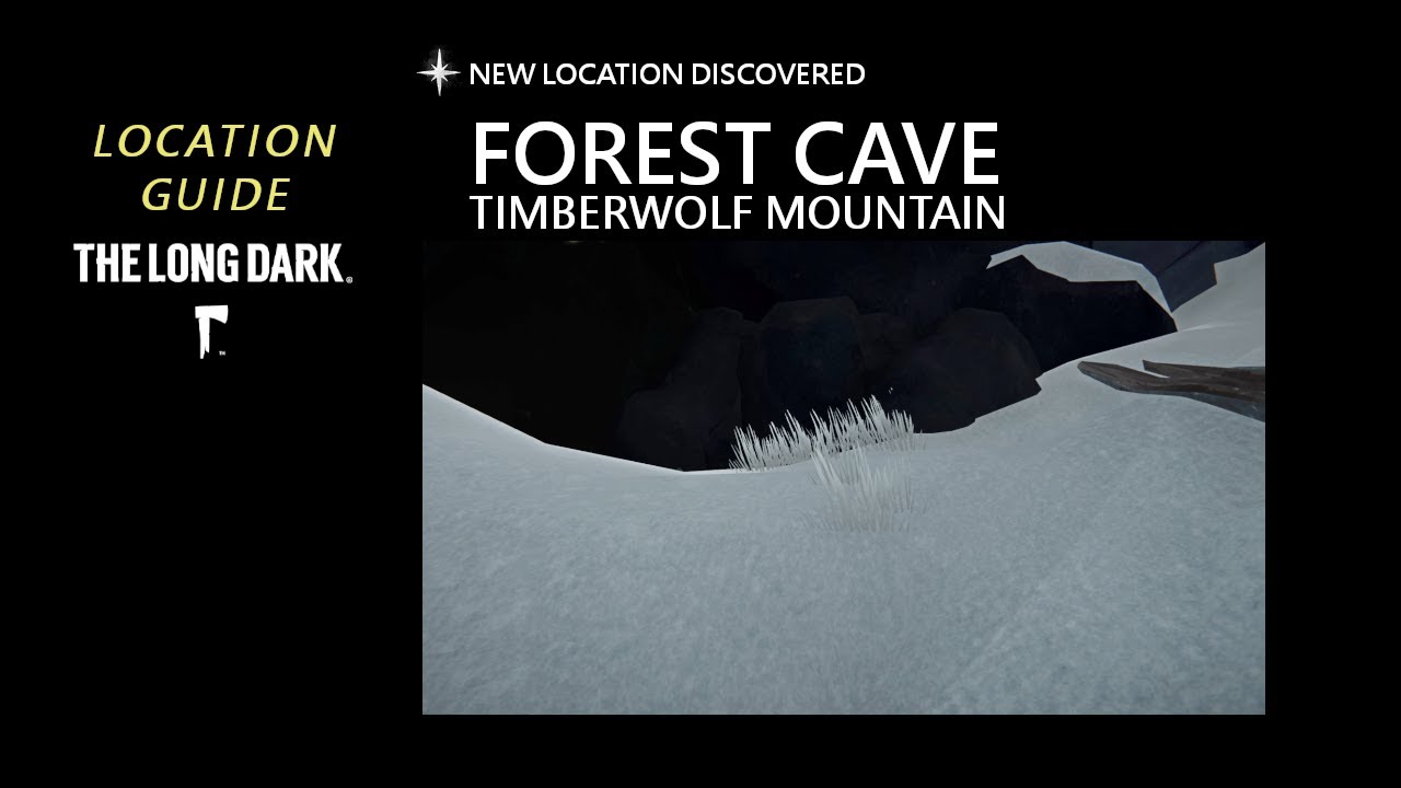 Location: Forest Cave - Timberwolf Mountain, The Long Dark - YouTube