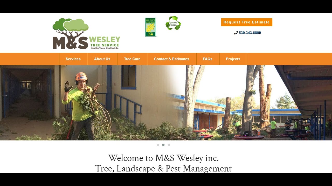 M&S Wesley Tree Service Website & Competitor Review - YouTube