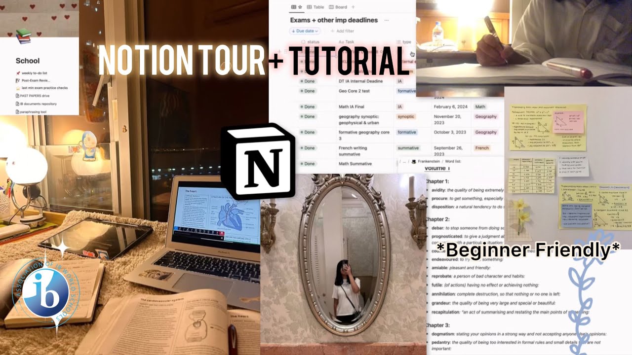 a beginners guide on using Notion effectively as an IB student |digital ...