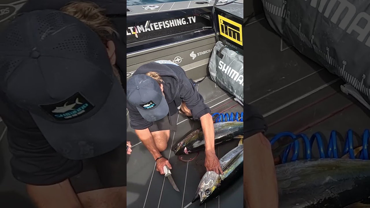 Ultimate Fishing TV - Ultimate Fishing Videos