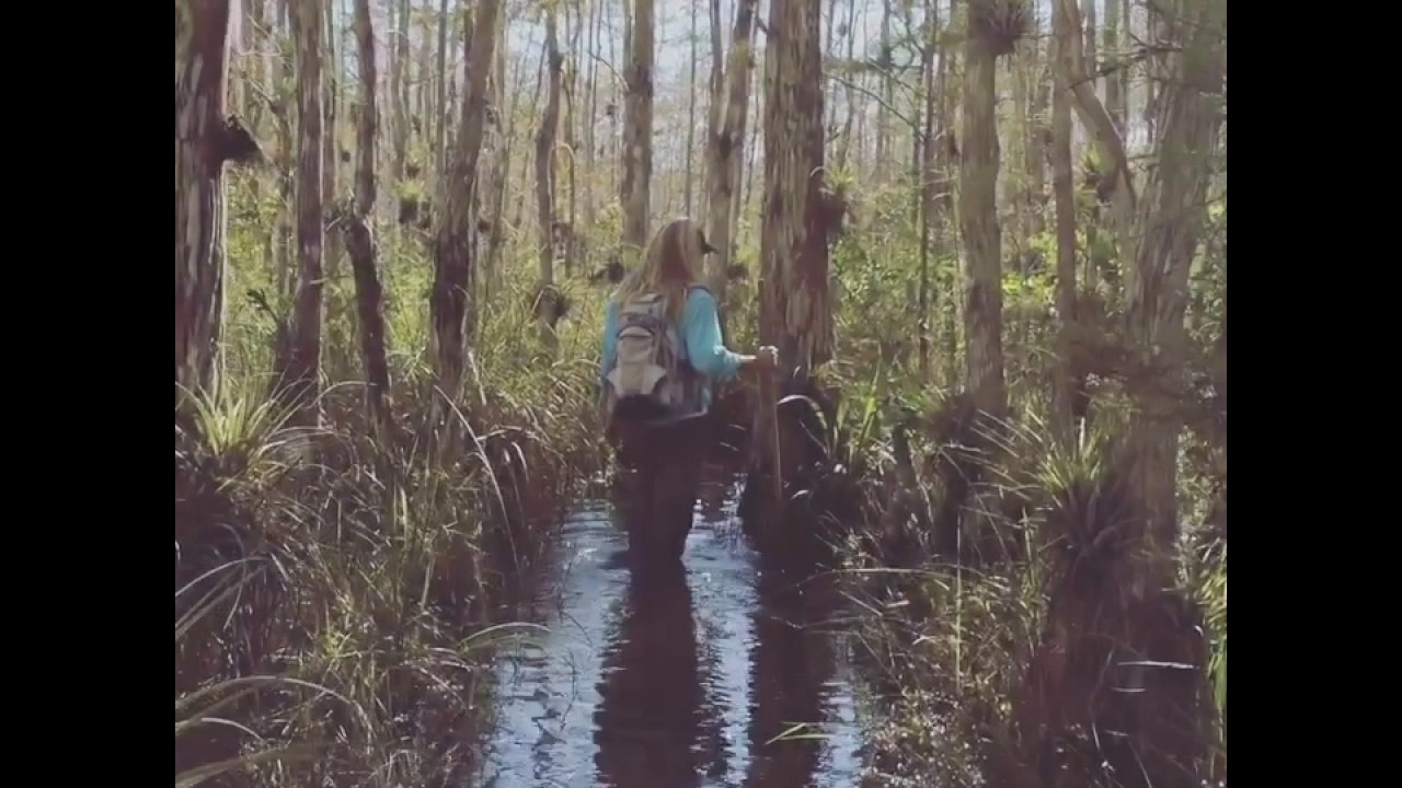 Big Cypress Swamp Walk - YouTube