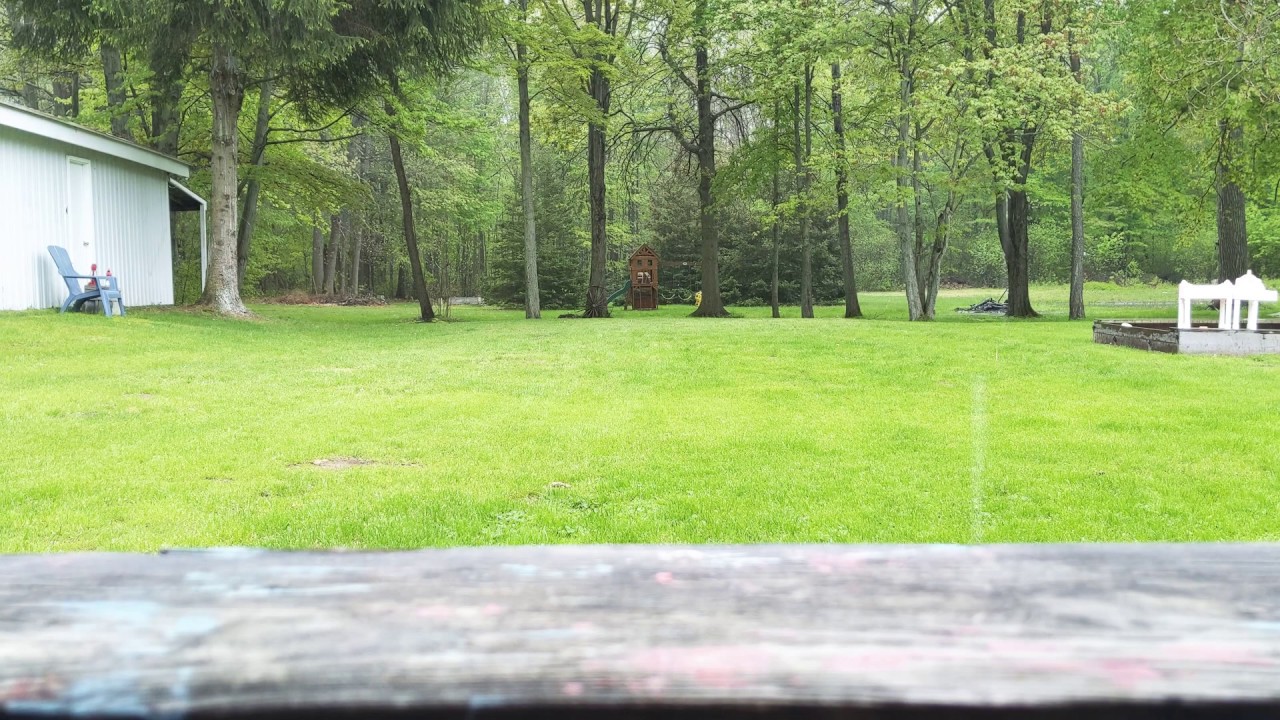 4K Nature Back Yard Raining Good Mood Good Vibes - YouTube