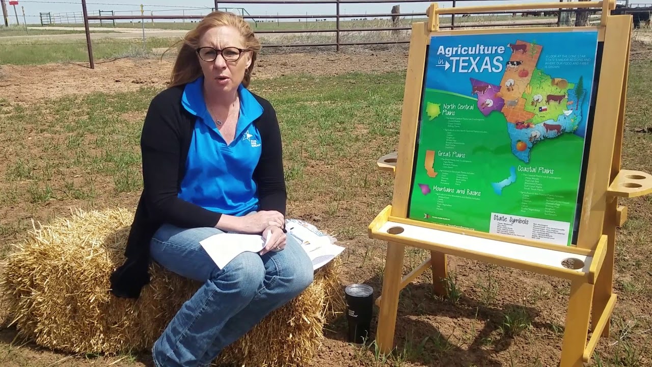 Cattle in the Classroom | Lesson 3 - History of Cattle - YouTube