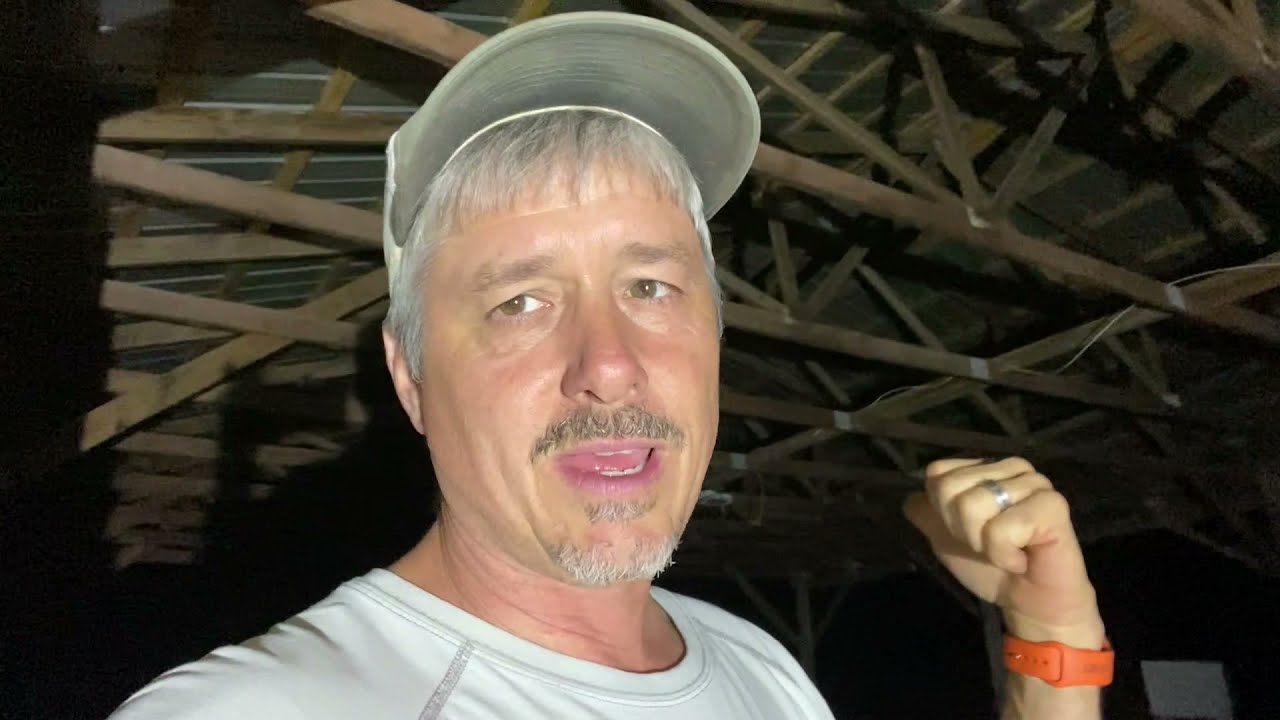 How Hot Weather In Winter Affects The Bees And Farm Update YouTube how-hot-weather-in-winter-affects-the-bees-and-farm-update-youtube