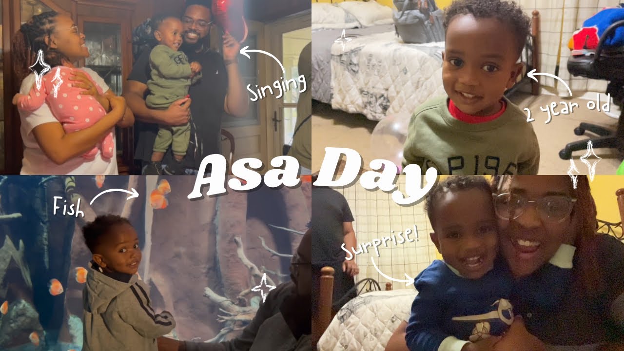 Happy Birthday, Asa! | Asa turns Two | A Day in the Life | The Nesmith ...