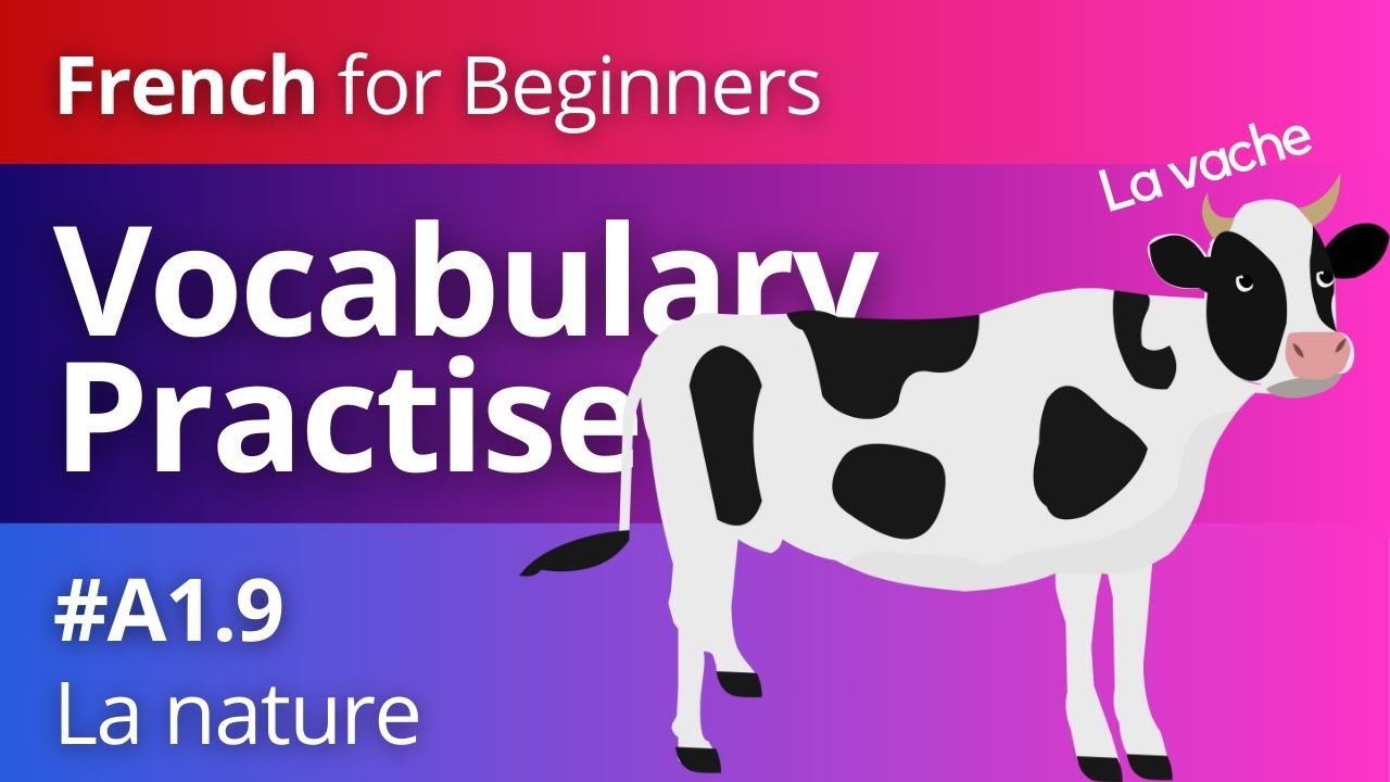 French Vocabulary for Beginners #9 : Nature, Animaux, Météo - YouTube