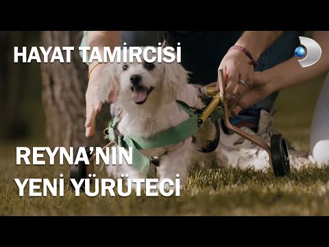 Hayat Tamircisi Reyna'ya Yeni Yürüteç Yaptı - Hayat Tamircisi 11.Bölüm