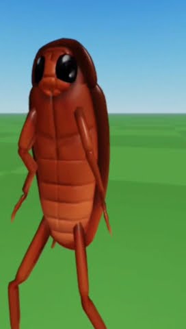 A roach doesn't know he is a roach 😳 💀 #roblox #funny - YouTube