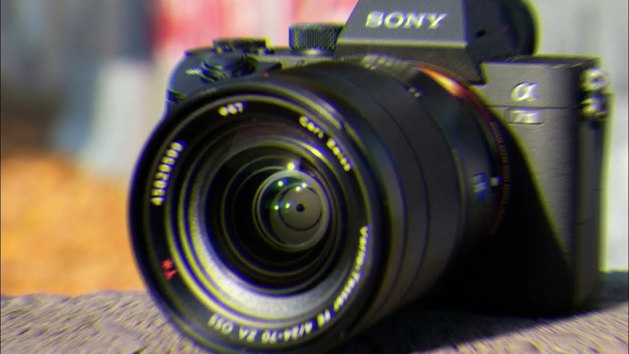 ALPHA 7C - FULL-FRAME INTERCHANGEABLE LENS CAMERA 24.2MP, 10FPS, 4K/30P ...