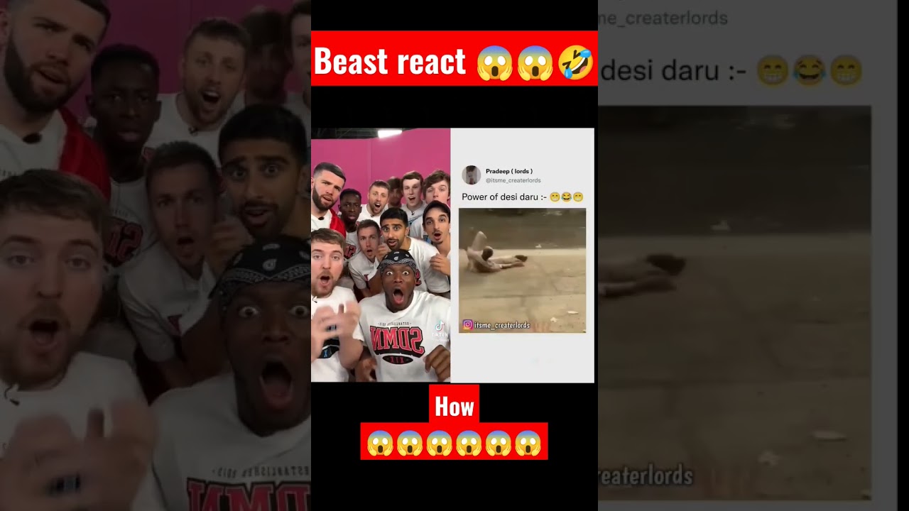 Beast react 😱😱🤣 #short #shorts - YouTube