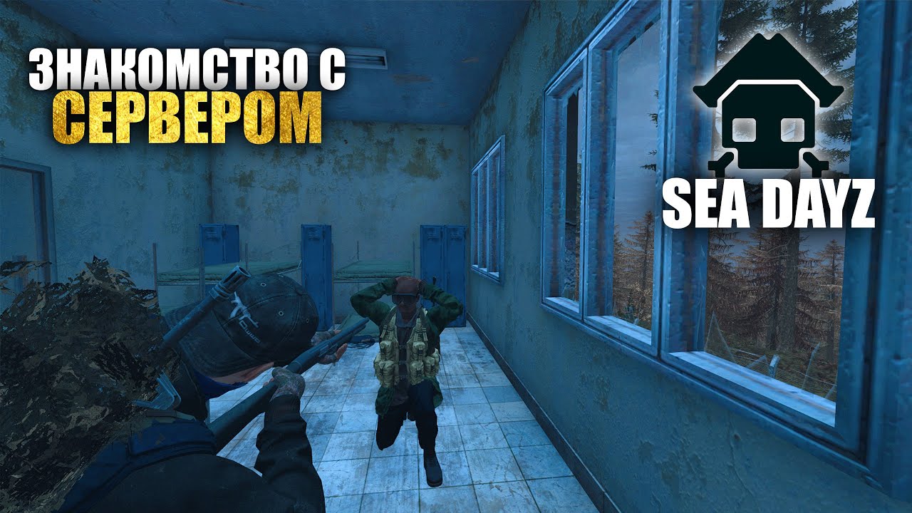 🔴 СТРИМ SEA DAYZ | ЗНАКОМСТВО С СЕРВЕРОМ! - YouTube
