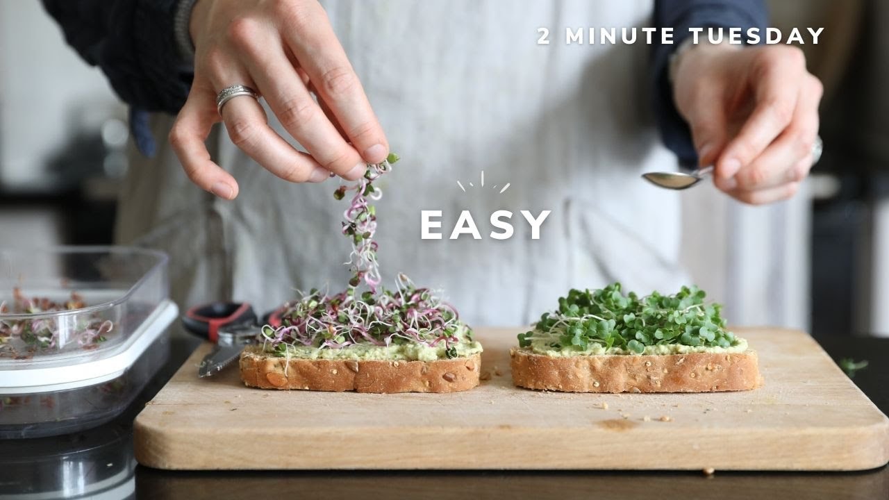 How to grow sprouts at home without soil #Shorts - YouTube