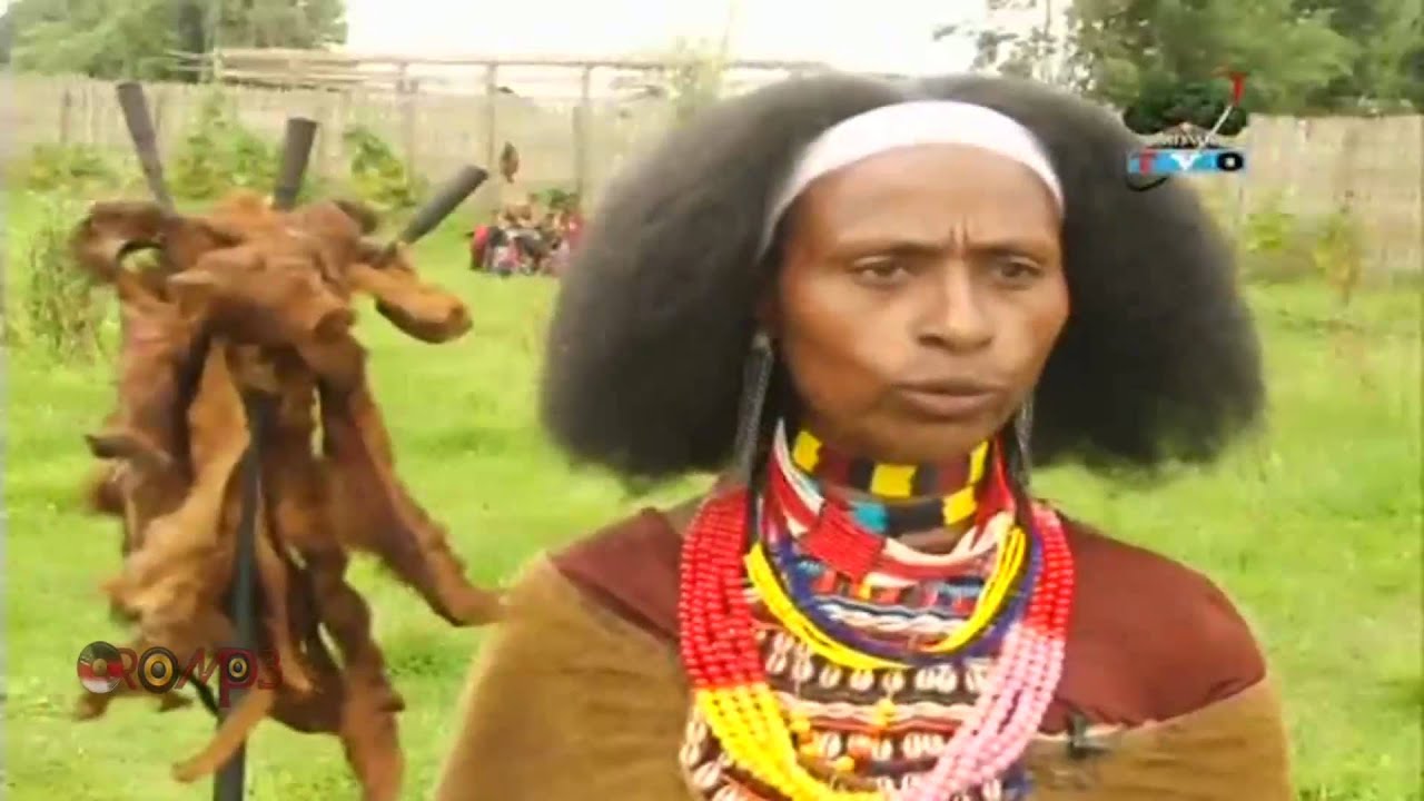 SIIQQEE - Aadaa Oromoo - YouTube