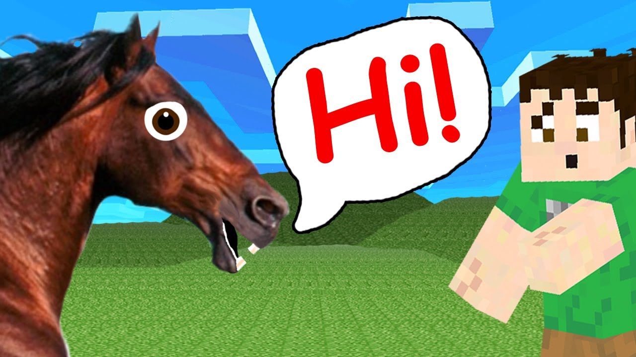 TALKING HORSE - YouTube