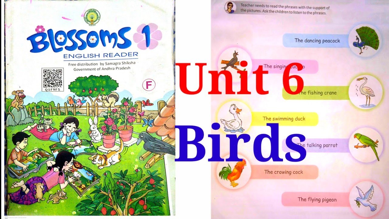 blossoms 1, Birds, unit-6 - YouTube
