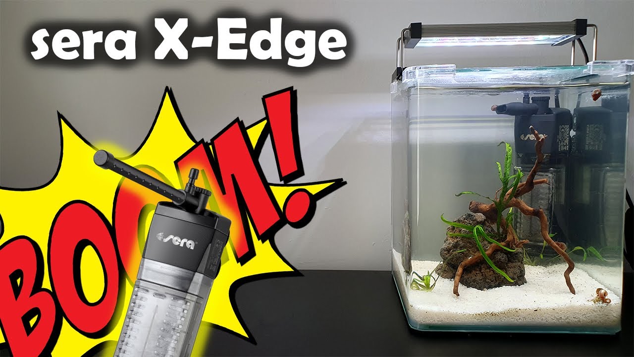 sera X-Edge 300 - Unboxing und Installation (162) - YouTube
