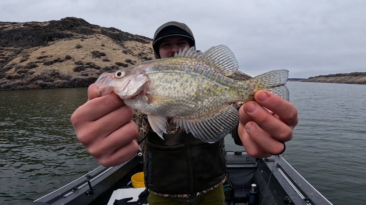 Winter Crappie Fishing from the Boat | Catch & Cook Fish Tacos - YouTube