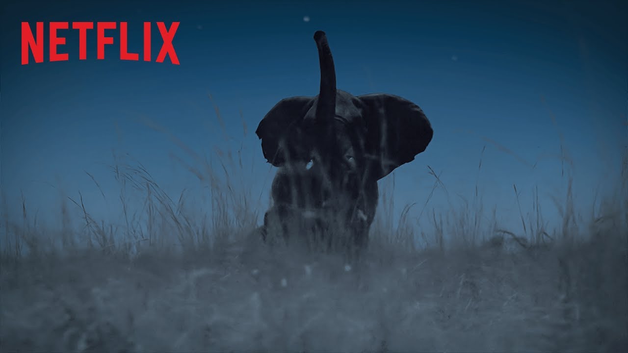 Night on Earth | Trailer | Netflix - YouTube