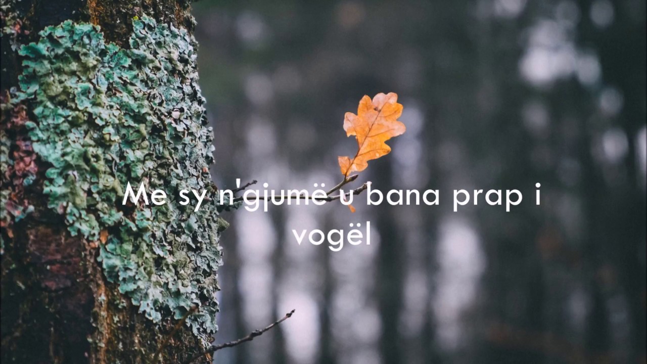 Shpat Deda - Ninullë (Lyric Video) - YouTube