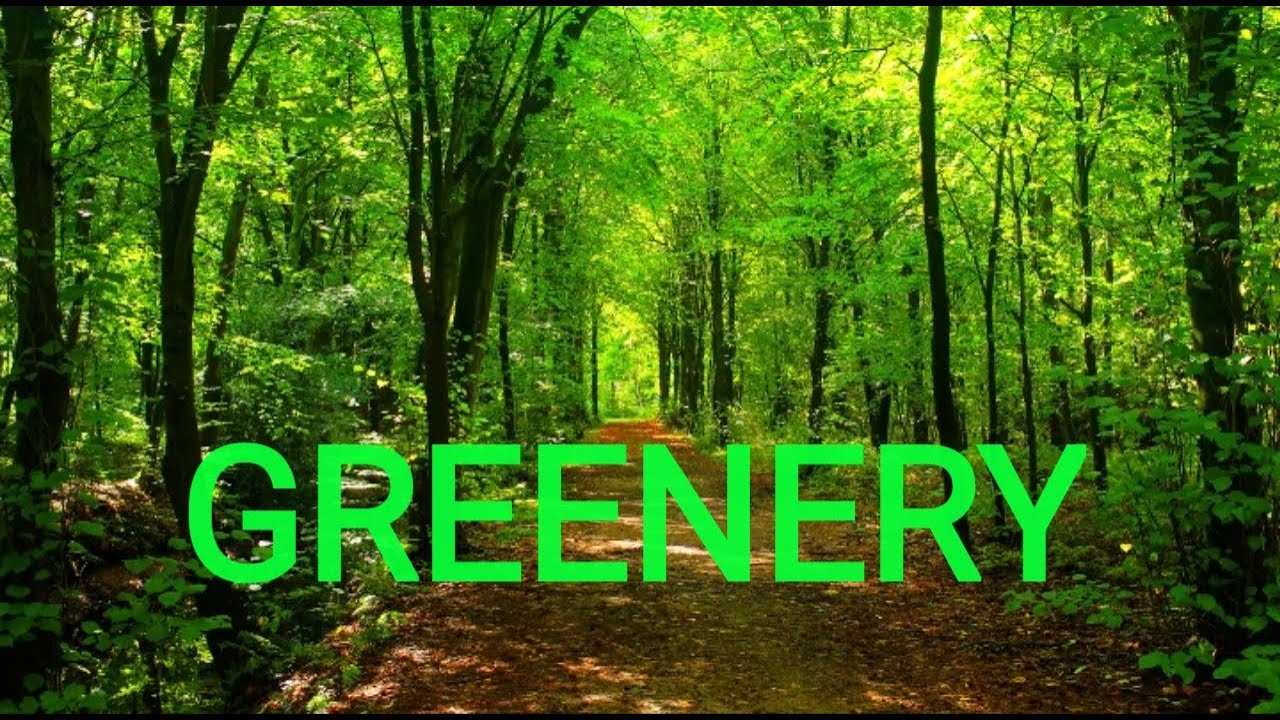 GREENERY - YouTube