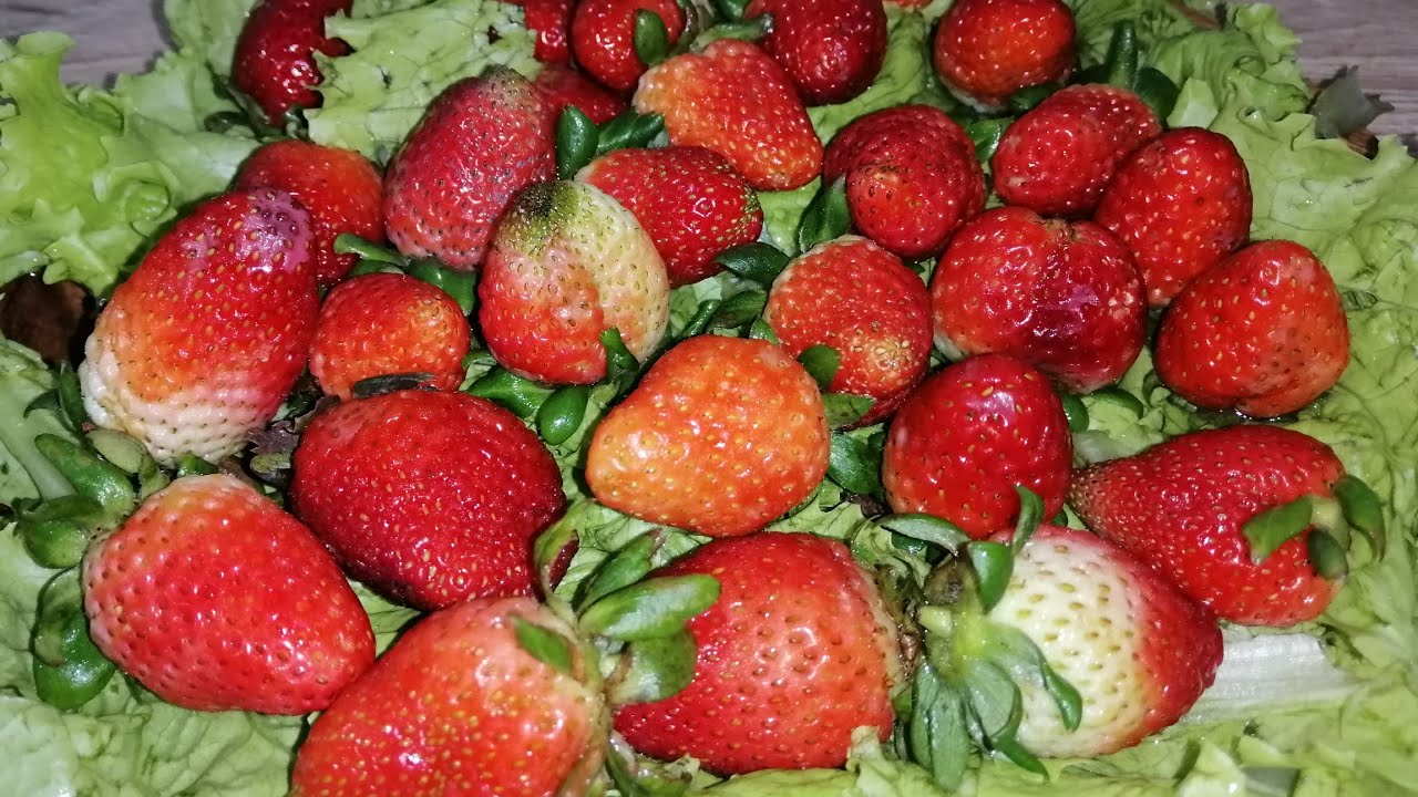 PERFECT COMBO OF STRAWBERRY AND MIX VEGETABLES FOR A HEALTHY MEAL # ...