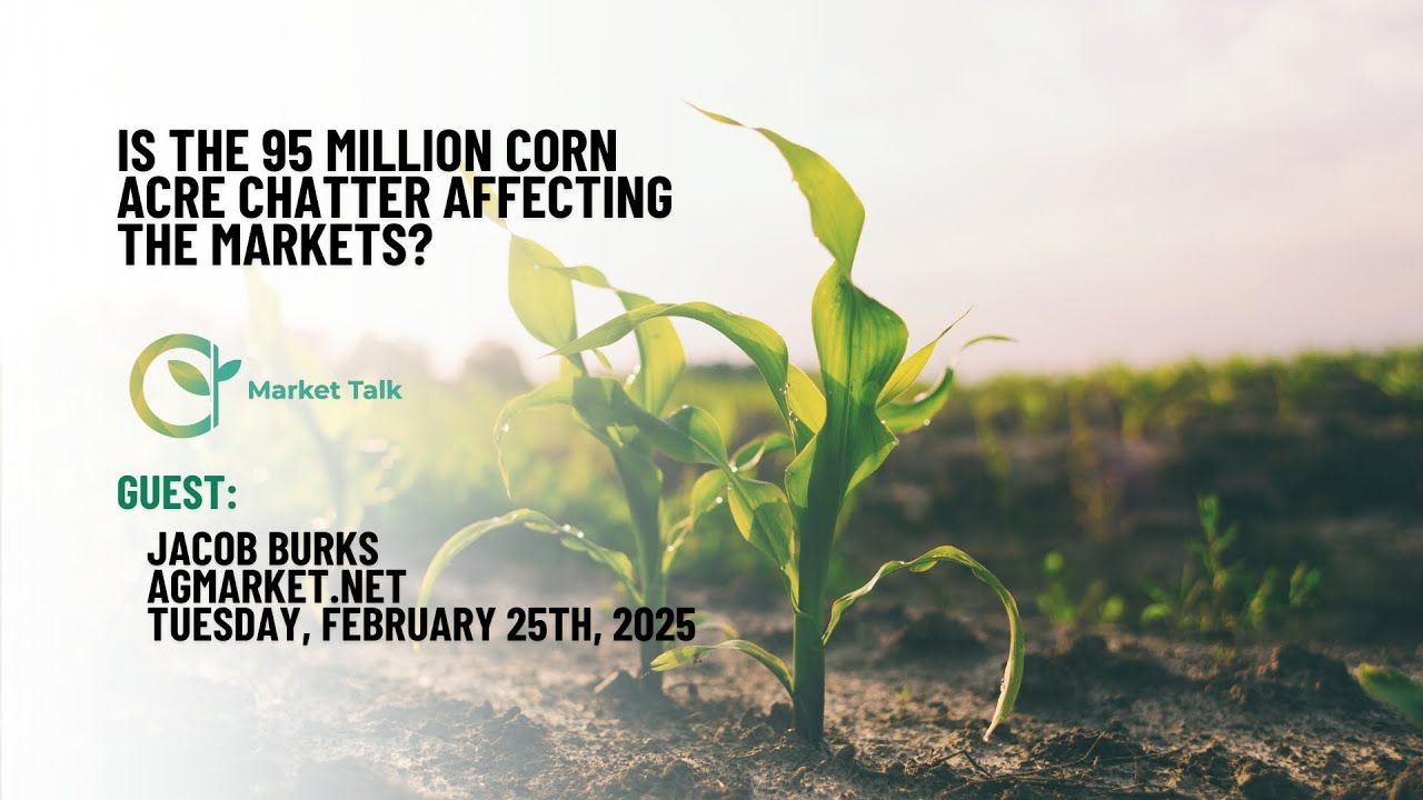 Is the 95 Million Corn Acre Chatter Affecting the Markets? - YouTube